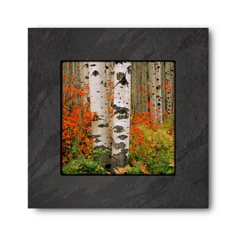 Slate Coaster-X05C - Illustrated Light Gifts