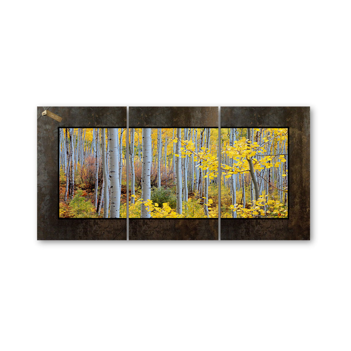 About Our Slate Pics - Illustrated Light Gifts